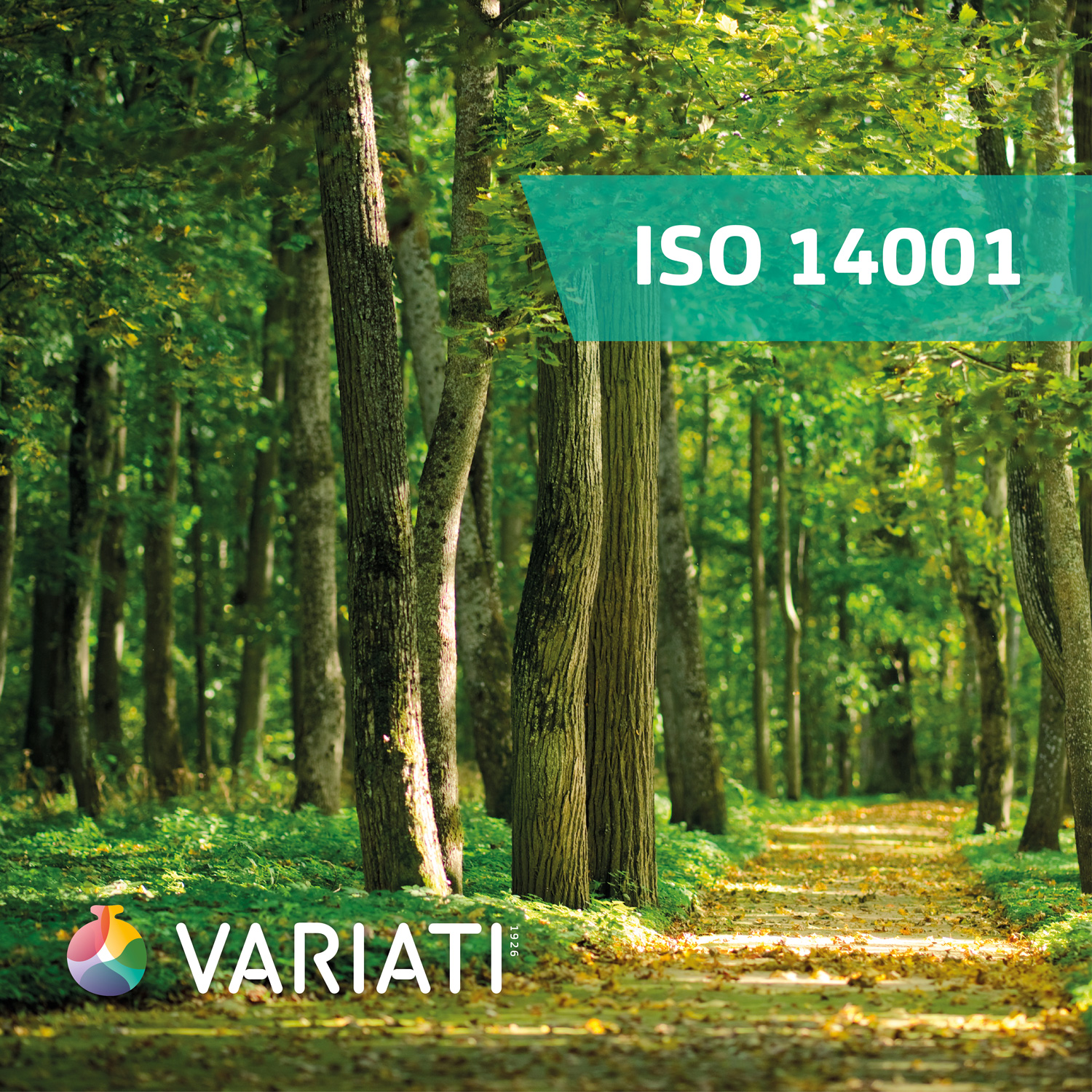 Variati | Naturally Treasured